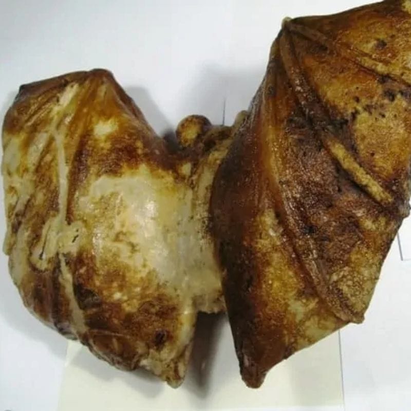 Super Rare Fossilized Bat (Crystal Structure) • Healing Crystal Stones ...