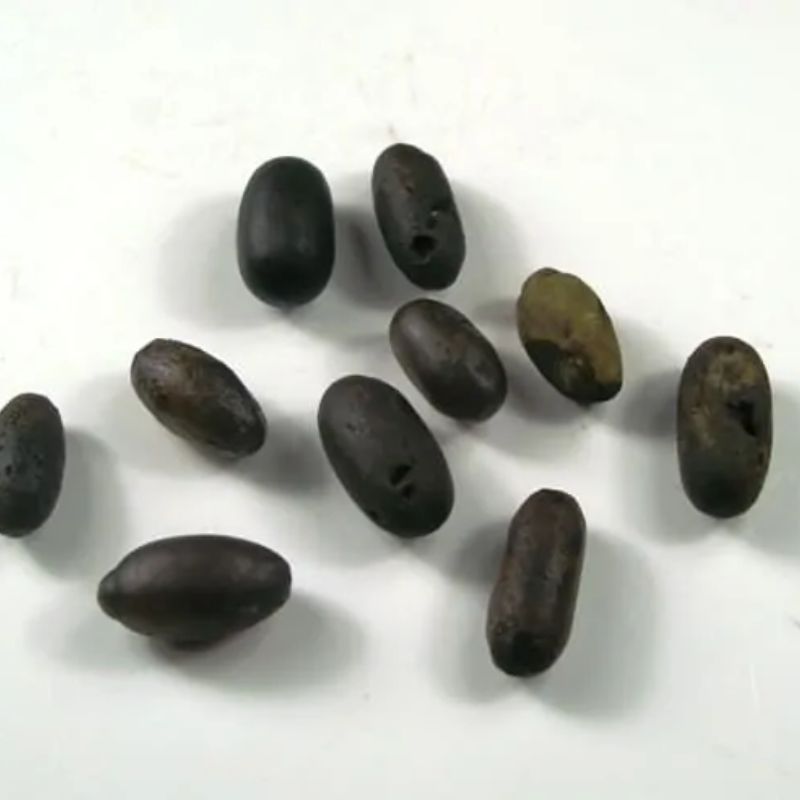 Suk Bee Hive Pearl - Type B • Healing Crystal Stones Bee Pearls