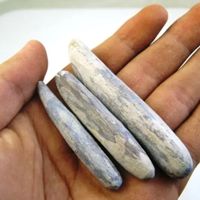 Tangkal Tree Pearls • Healing Crystal Stones